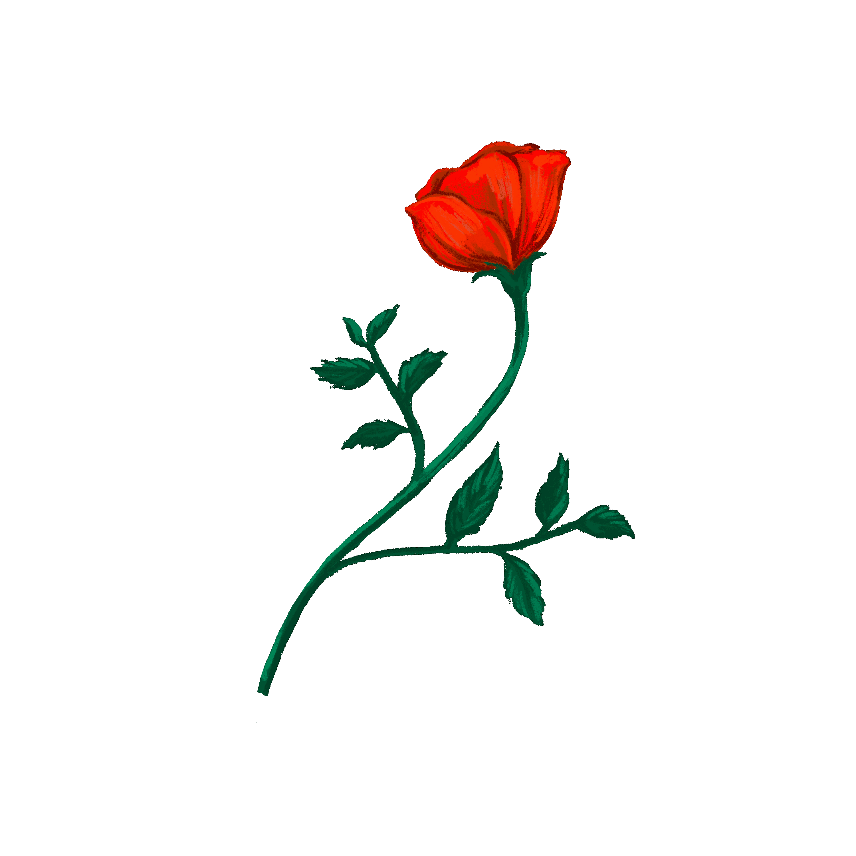 Rose Cartoon Gif - Infoupdate.org