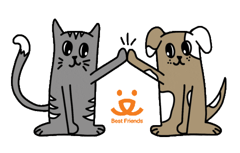 High Five Animals Cartoon