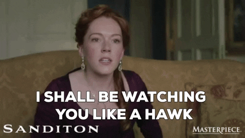 Watching-like-a-hawk GIFs - Get the best GIF on GIPHY