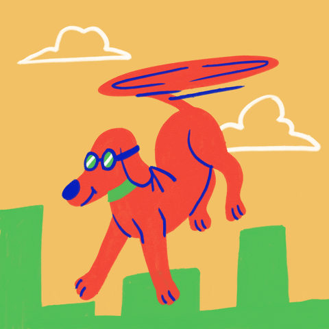 Helicopter-dog GIFs - Get the best GIF on GIPHY