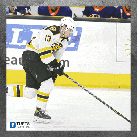 Bruin Life GIFs - Get the best GIF on GIPHY