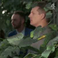 Hiding In The Bushes Gif