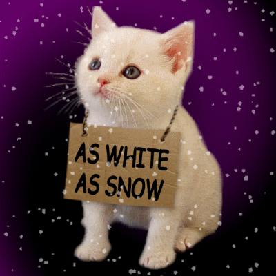 Pure White GIFs - Get the best GIF on GIPHY