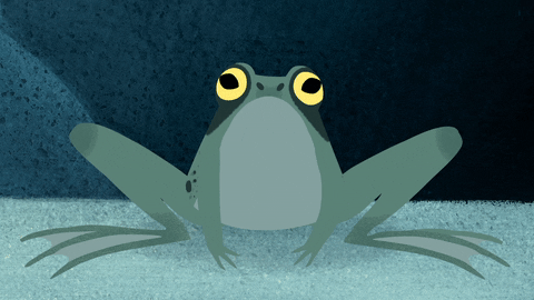 #Puffin #Rock #Puffinrock #Frog #Froggy #Ribbit GIF by Puffin Rock ...