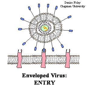 Bilayer GIFs - Get the best GIF on GIPHY