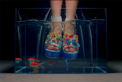 New trending GIF tagged crazy fish wonder girls… | Trending Gifs