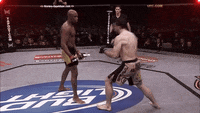 Anderson Silva Knockout Gif