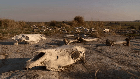 Dry-sinuses GIFs - Get the best GIF on GIPHY