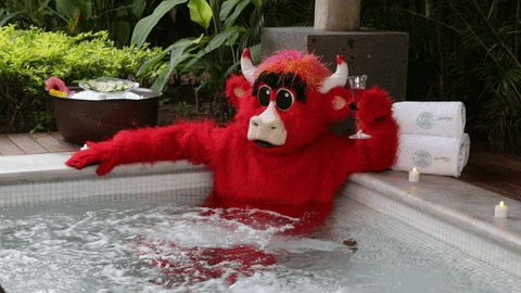 Nba Mascots GIFs - Get the best GIF on GIPHY
