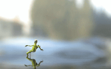 Run On Water GIFs - Get the best GIF on GIPHY