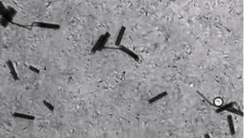 Nanobots GIFs - Get the best GIF on GIPHY