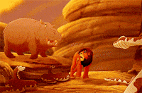 Funny Lion King Gifs