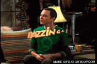 Sheldon Yes To All Gif