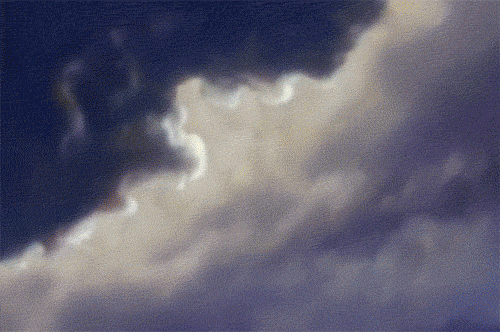 The Circle Of Life GIFs - Get the best GIF on GIPHY