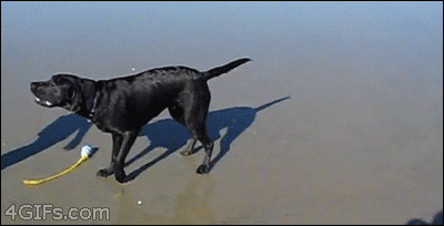 Projectile Diarrhea Gif