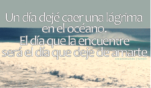 Textos De Amor GIFs - Get the best GIF on GIPHY