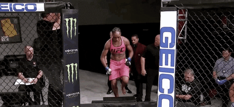 Ultimate Fighter Fighting GIF by UFC - Find & Share on GIPHY