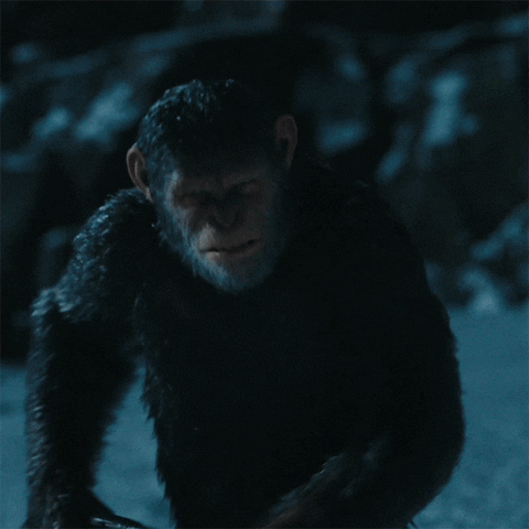PLANET OF THE APES GIFs on GIPHY - Be Animated