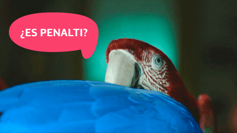 Dontbe Loro Dont Be Loro GIFs - Get the best GIF on GIPHY