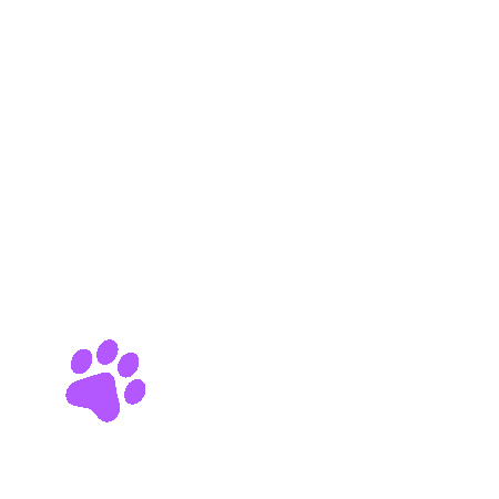 Dog Colors Sticker for iOS & Android | GIPHY