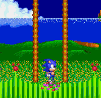 Sega Gif