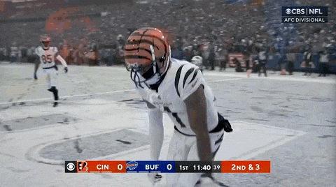 Chasing Gif