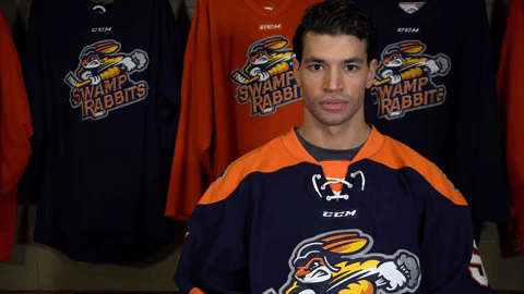 Greenville Swamp Rabbits GIFs on GIPHY - Be Animated