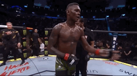 These UFC276 GIFs Pack-A-Punch! by Sports GIFs | GIPHY