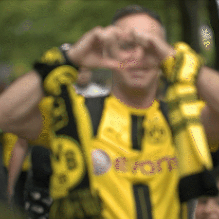 Borussia Dortmund Fans Gif