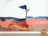 Road Runner Gif