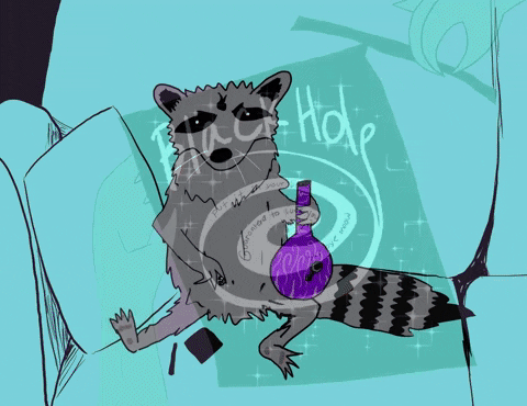 Weed-session GIFs - Get the best GIF on GIPHY