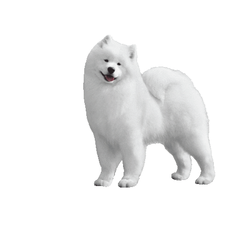 Nature Protection GIFs on GIPHY - Be Animated