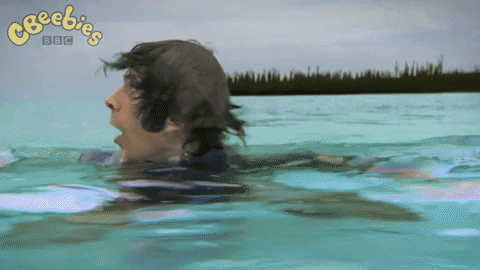 Andys Sectret Hideout GIFs - Get the best GIF on GIPHY