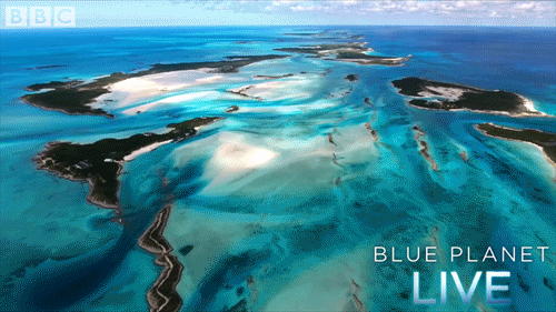 Bbc One Oceans GIF by BBC - Find & Share on GIPHY