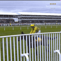 Cheltenham Festival 2019 by The Jockey Club | GIPHY