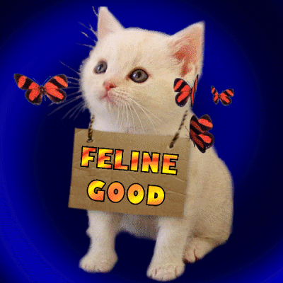 Feeling Great GIF - Find & Share on GIPHY