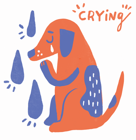 Sad Cry GIF - Find & Share on GIPHY