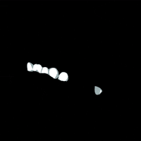 Teeth Bite GIF - Find & Share on GIPHY