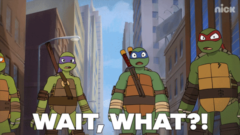 Teenage Mutant Ninja Turtle GIFs - Get the best GIF on GIPHY