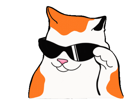 Cat With Glasses Gif