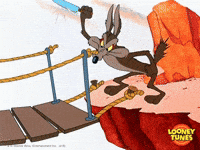 Wile E Coyote Rocket Gif