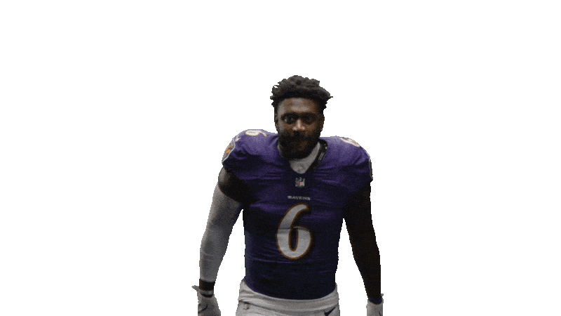 Waving Lets Go Sticker by Baltimore Ravens for iOS & Android | GIPHY