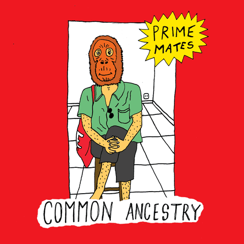 Common-ancestry GIFs - Get the best GIF on GIPHY