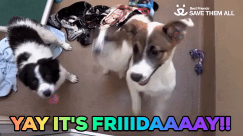 Best Friends Animal Society GIFs on GIPHY - Be Animated