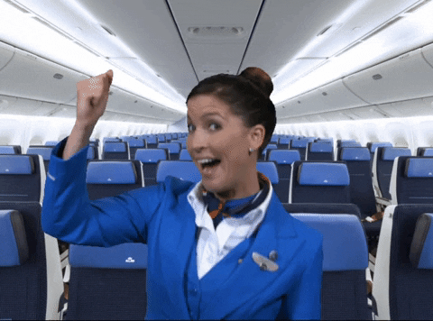 Good Flight GIFs - Find & Share on GIPHY