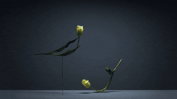 AnOther GIFs on GIPHY - Be Animated