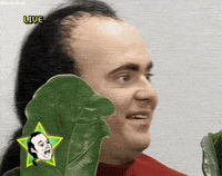 Tim And Eric Gif