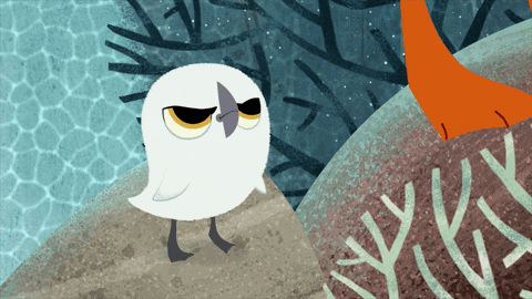 Whassa GIFs - Get the best GIF on GIPHY