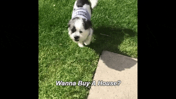 Bought A House GIFs - Find & Share on GIPHY