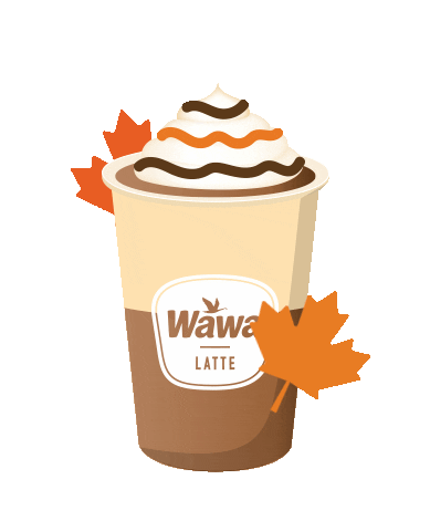 Wawa Run Wonderfall Sticker by Wawa for iOS & Android | GIPHY